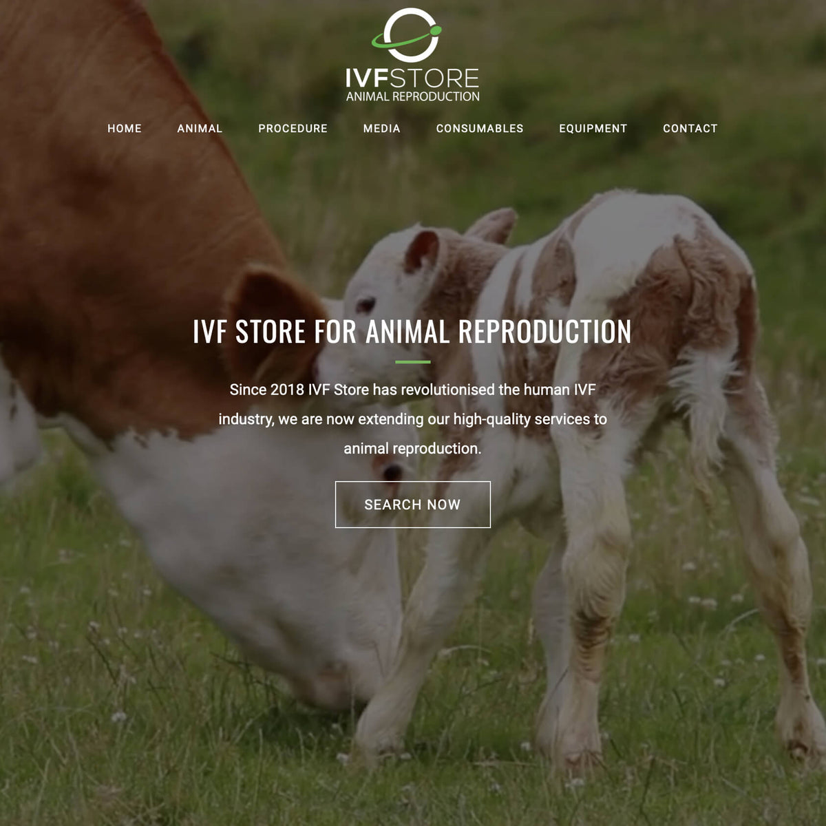 Animal IVF Store: Pioneering Success in Animal Husbandry with Premier