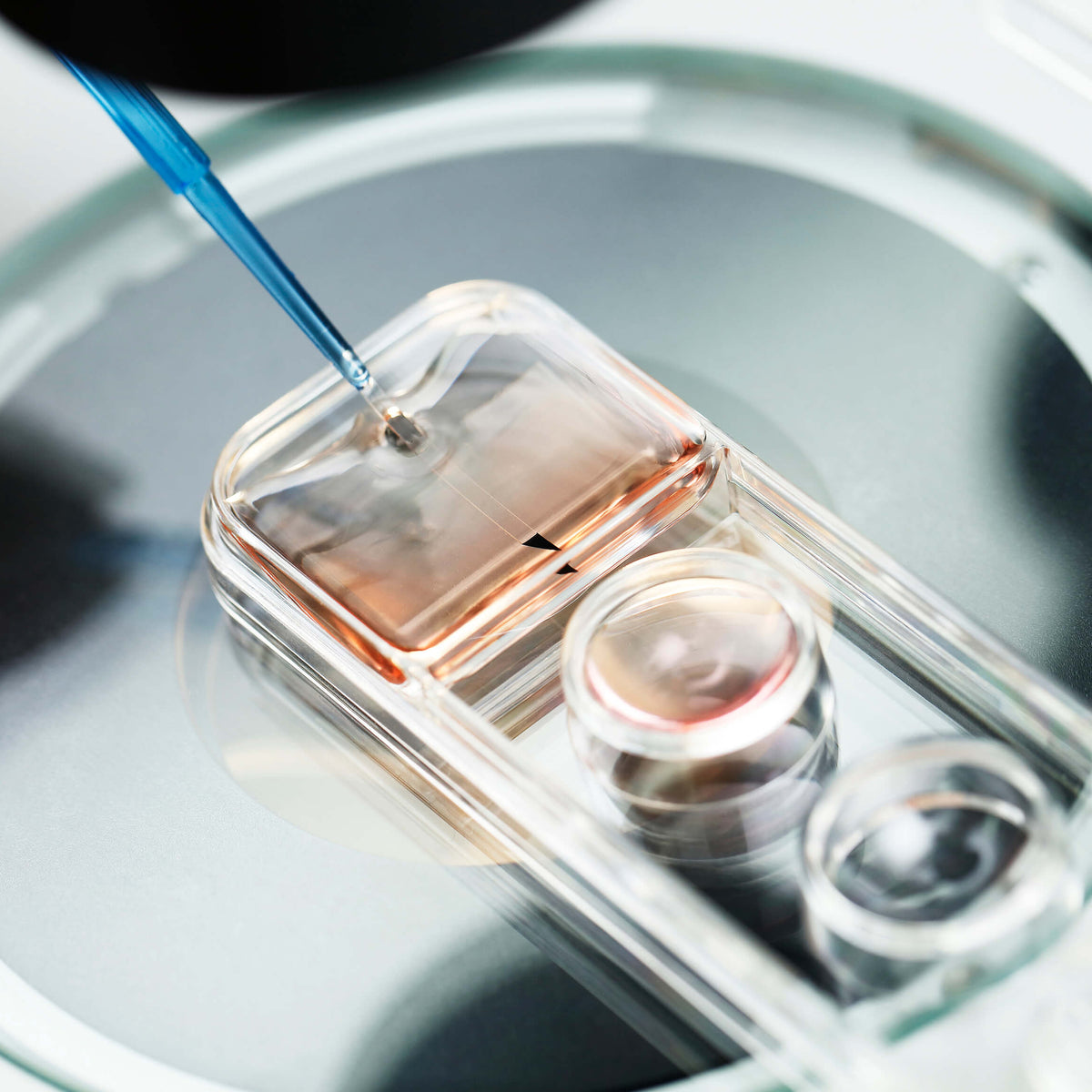 Cryotec / Reprolife America – IVF Store