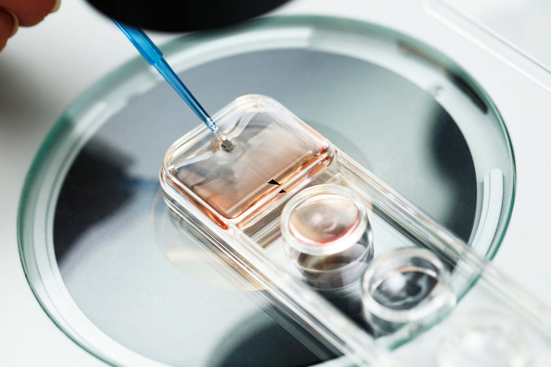 Cryotec Vitri and Warm Plates – IVF Store