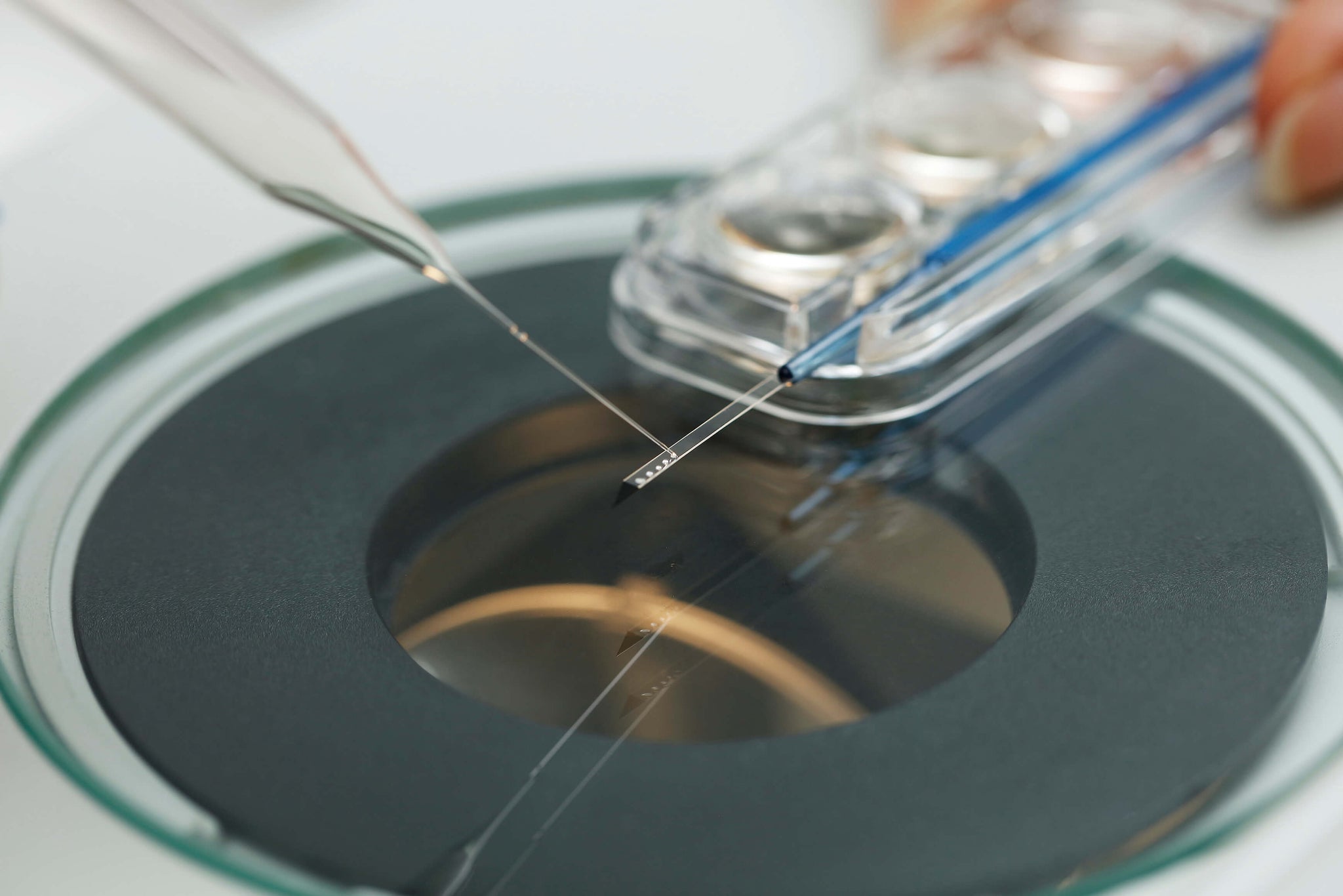 Cryotec Vitrification Devices – IVF Store