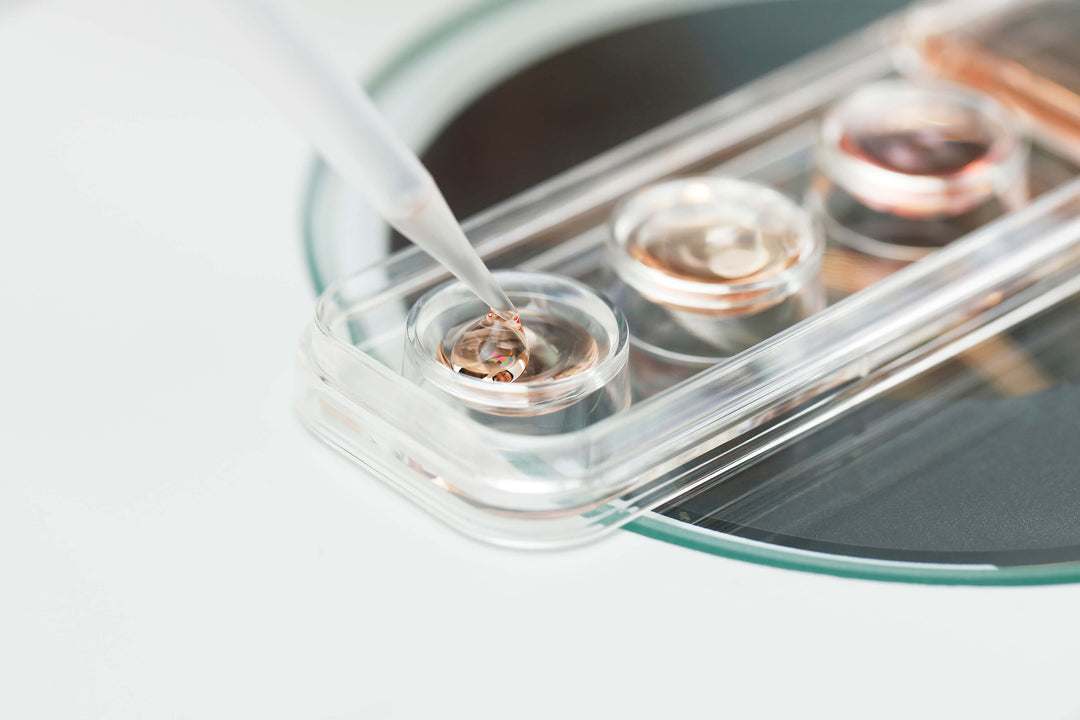 Cryotec Vitri and Warm Plates – IVF Store