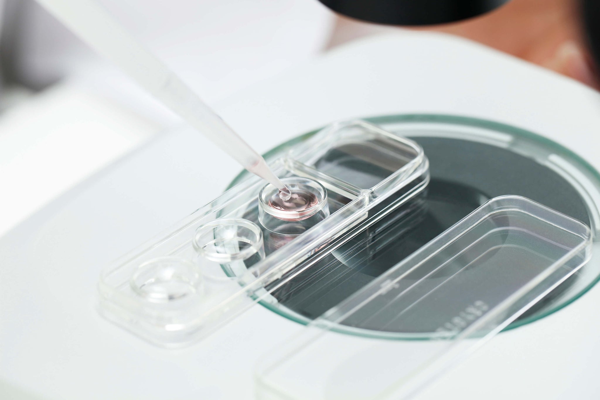 Cryotec Vitri and Warm Plates – IVF Store