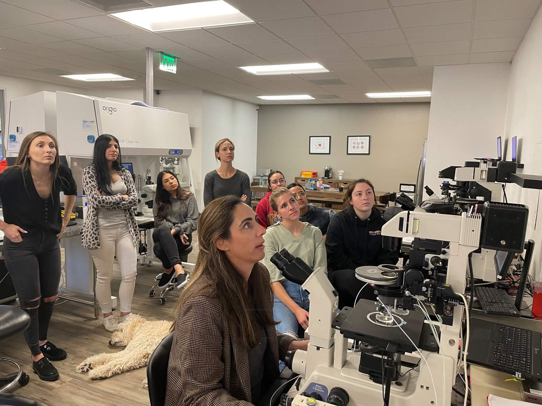 World Embryology Skills And Training – IVF Store