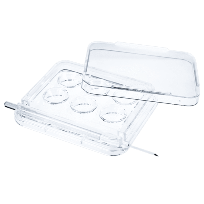 Oosafe 6 Well Dishes for IVF, ICSI, Embryo Culture & Cryopreservation ...