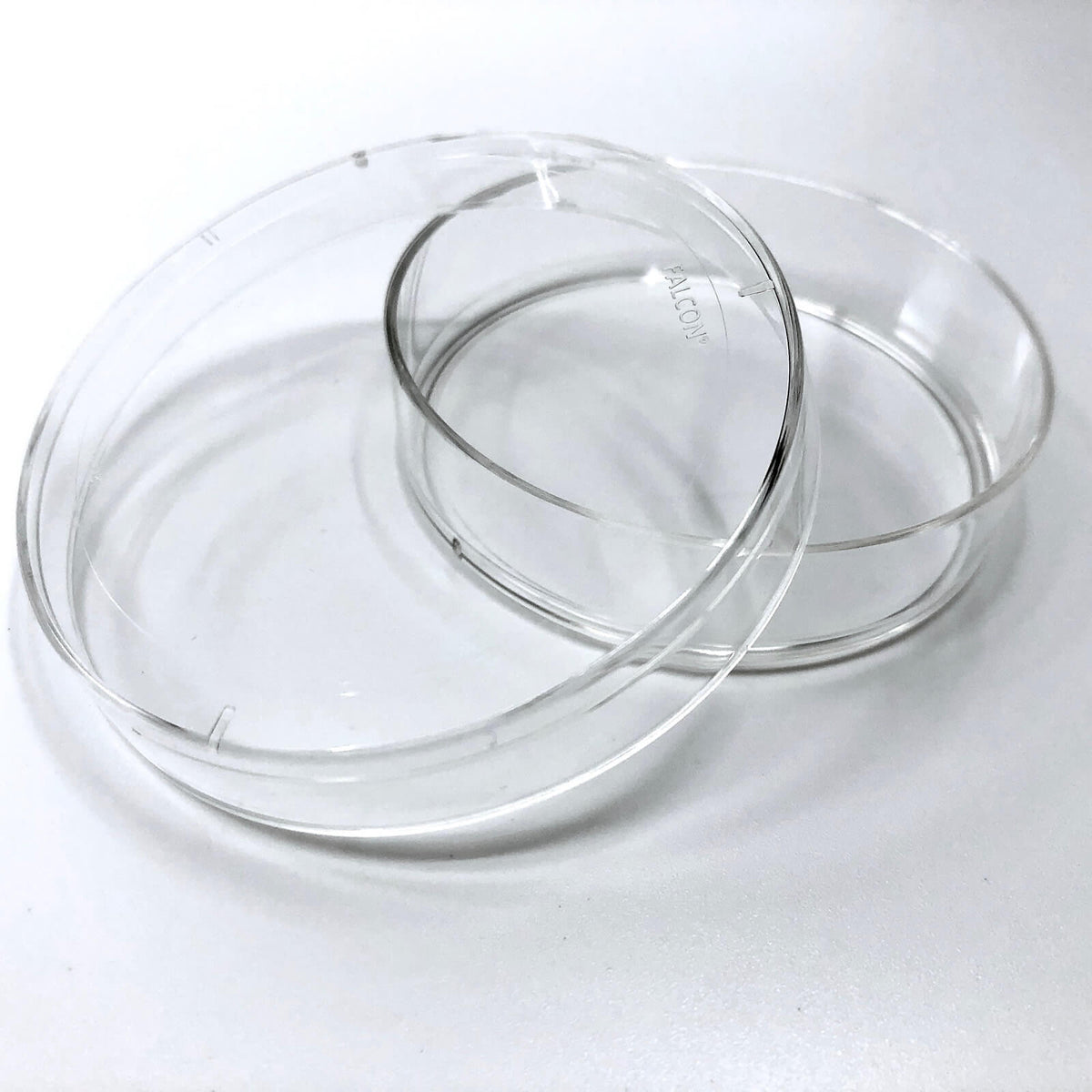 Falcon® Bacteriological Petri Dishes 60 x 15 mm (351007) In-Stock – IVF ...