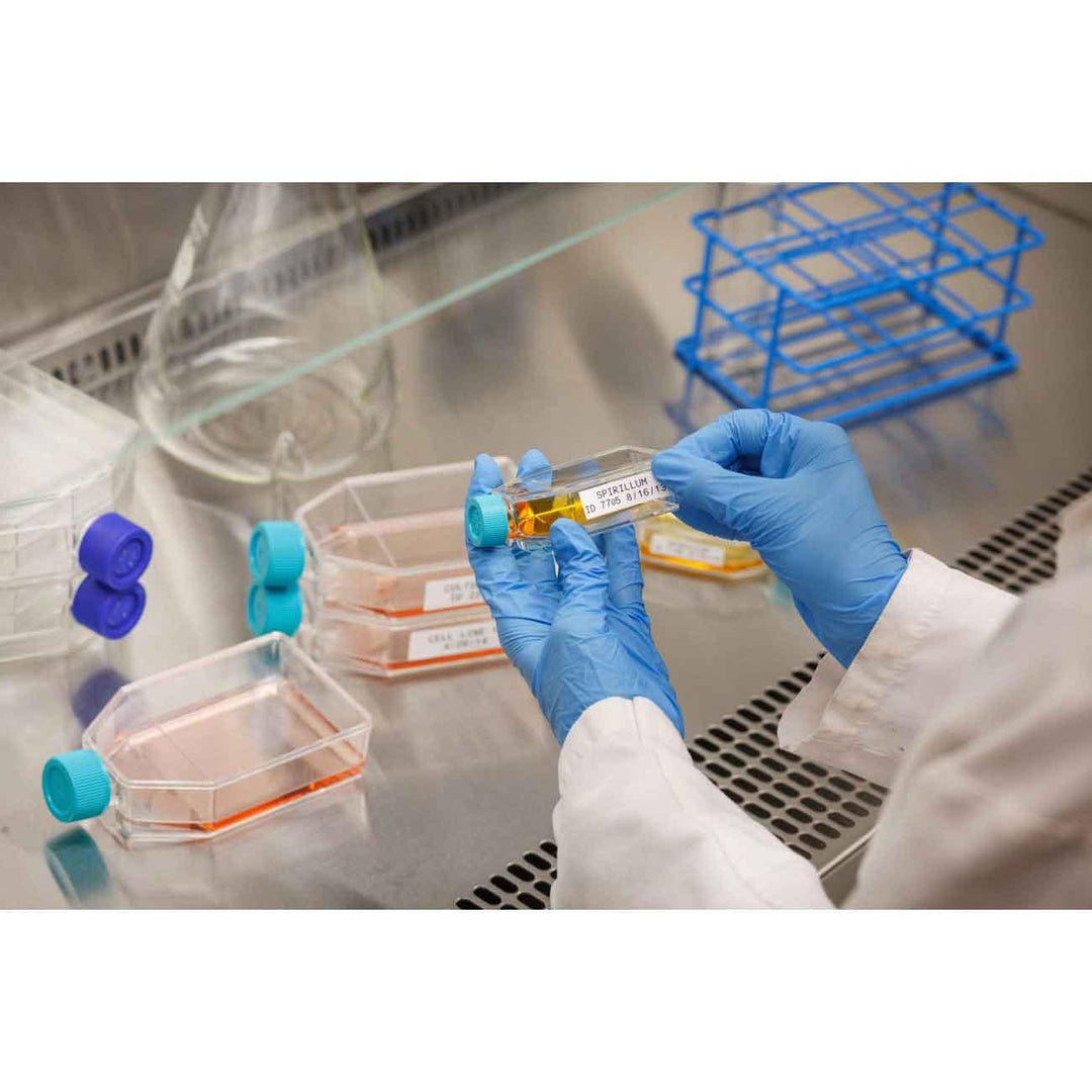 Continuous Self-laminating Polyester Cryogenic Laboratory Labels (2 Pa ...