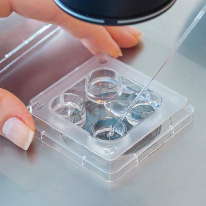 IVF Petri Dishes | IVF Culture Dishes | IVF Store