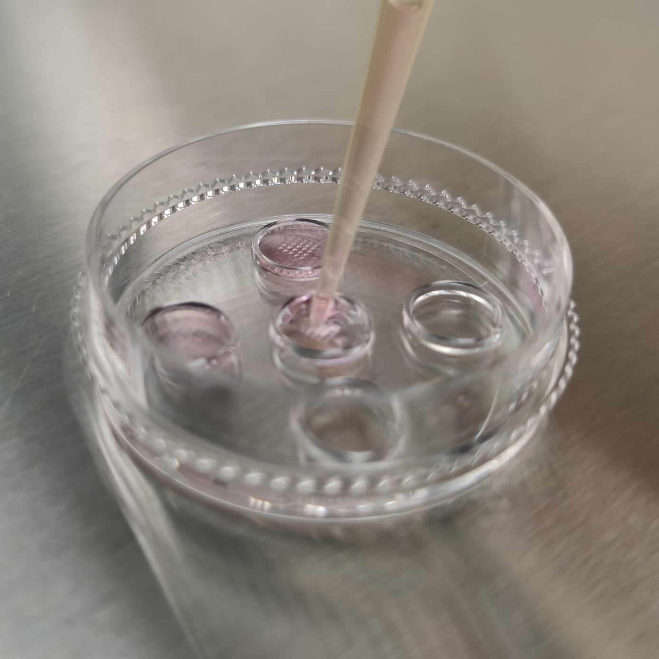 IVF Petri Dishes | IVF Culture Dishes | IVF Store